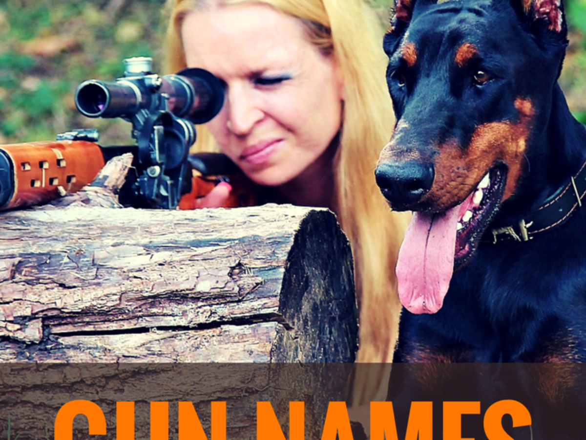 Gun names for dogs store