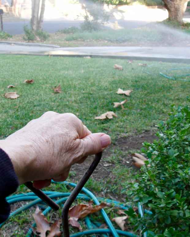 How to Detect a Water Leak in the Irrigation System - Dengarden - Home ...