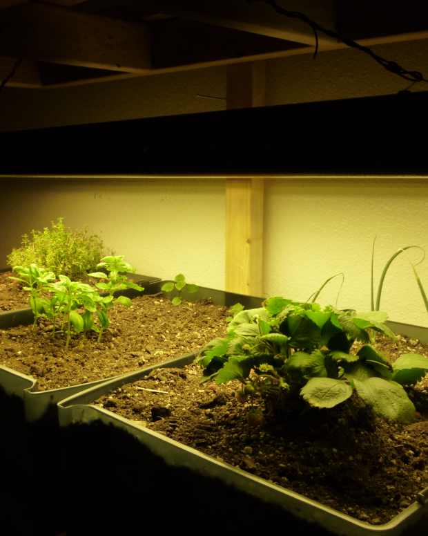 What Is Hydroton? - Dengarden