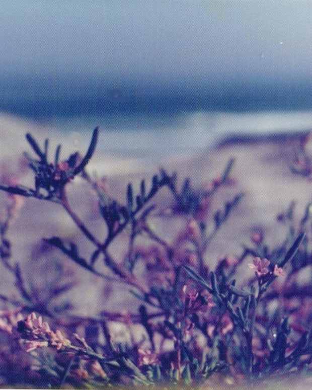 Descriptive Short Story: The Beach - LetterPile