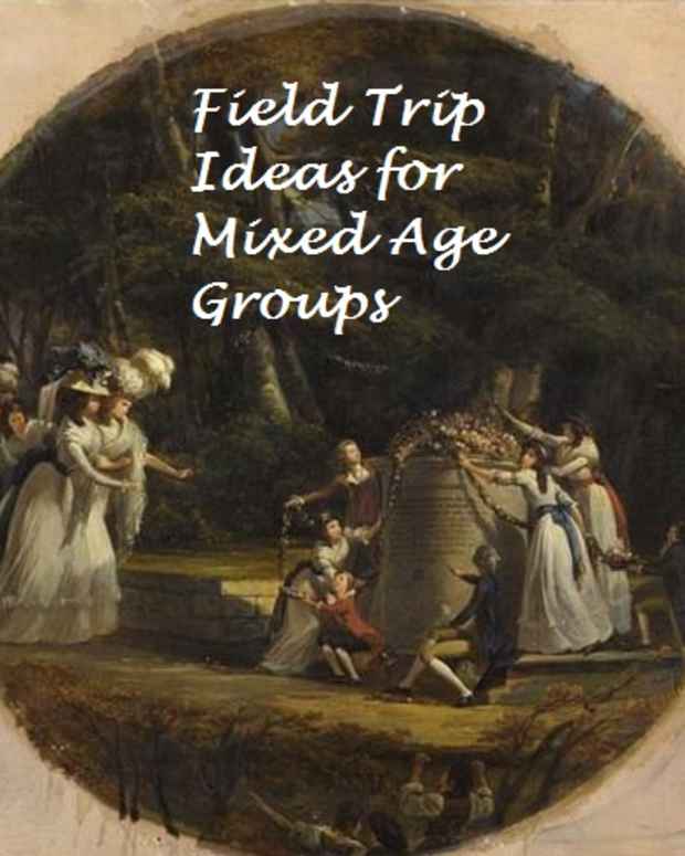 10 Ideas for Home Daycare Field Trips - WeHaveKids