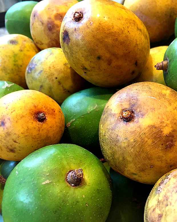 Tropical Taste of Hawaii: The Amazing Abiu - Dengarden - Home and Garden