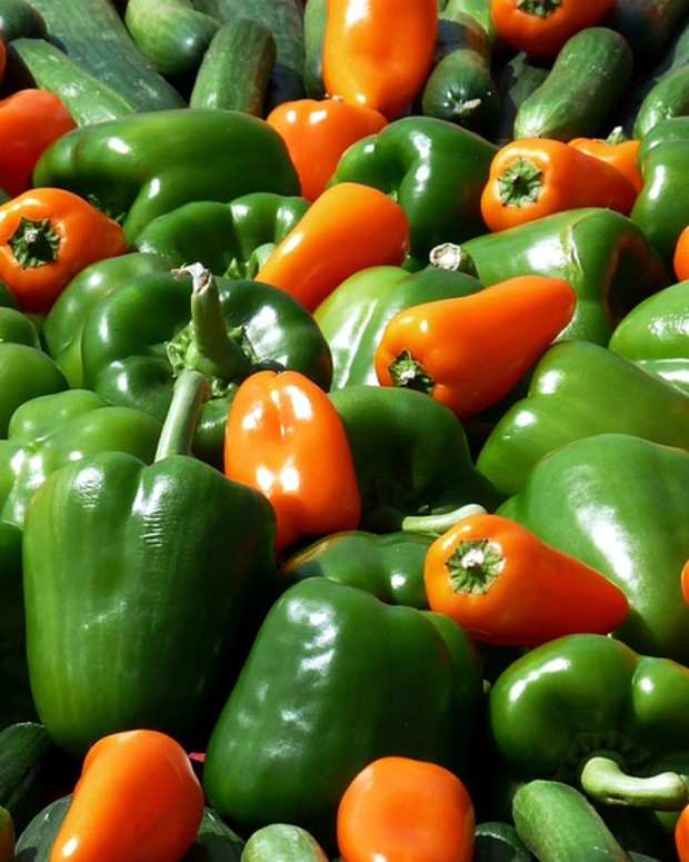 Pinching Terminal Buds for Better Plant Growth - Dengarden