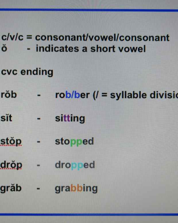 Dividing by 0.5: A Simple Method to Divide by a Half - Owlcation