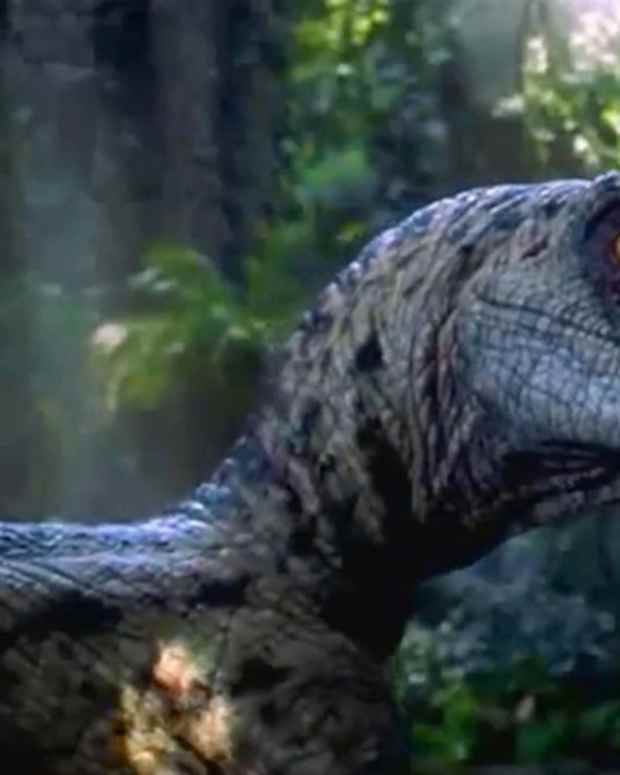 Deaf Culture Facts That Might Surprise You - Owlcation