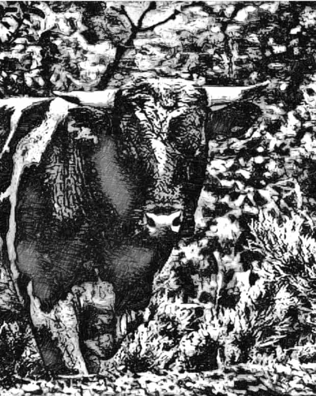 Short Story - The Magic Cow - Part 2 - LetterPile