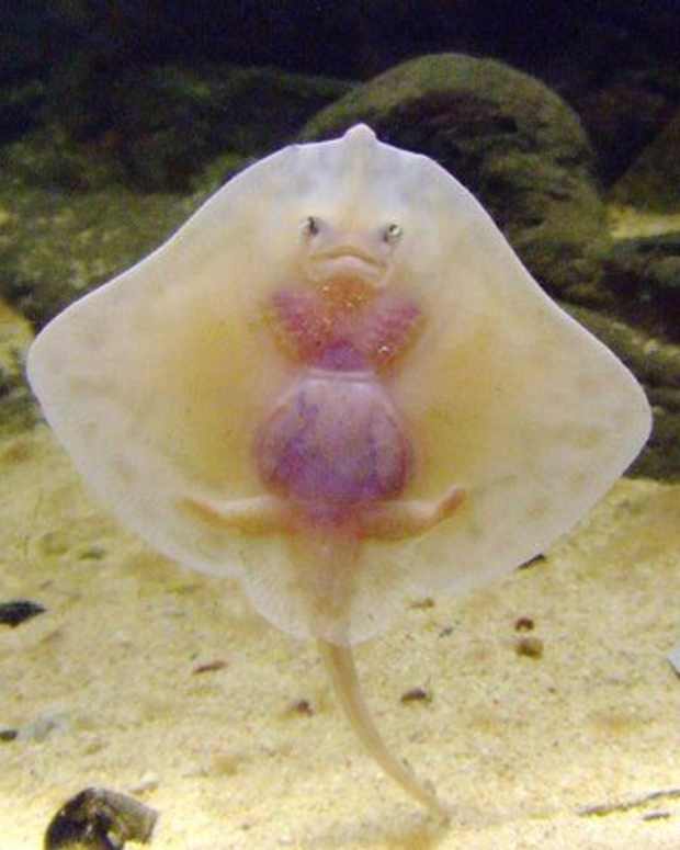 45 Unique 1920s Costume Ideas That Will Make You the Star of the Party ...