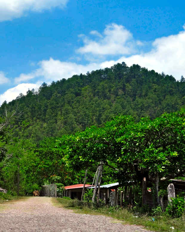 Synopsis of Jose Rizal's Novel, "El Filibusterismo" - Owlcation