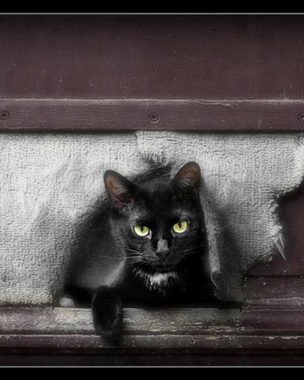 100+ Water Superhero Names - HubPages