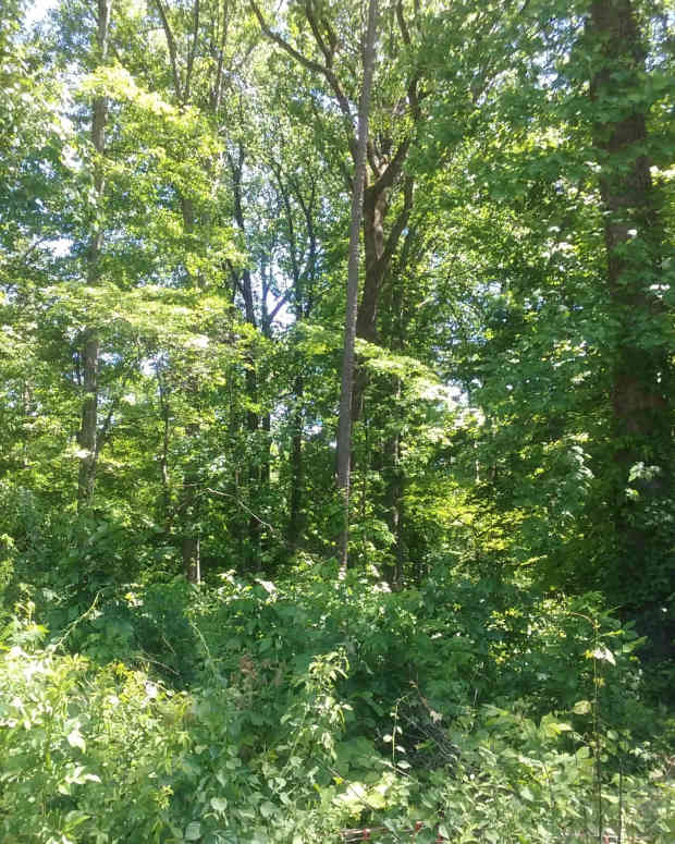 Relentless- A Poem - LetterPile