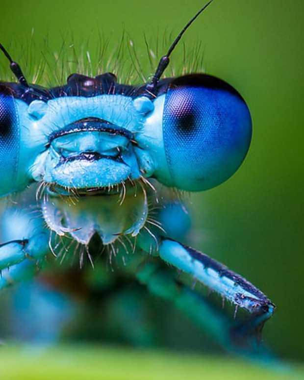 Top 10 Activities With The Color Blue - HubPages