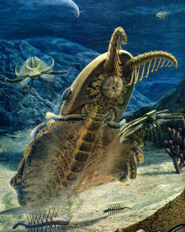 The Vril Society: Maria Orsitsch and the Vrilerinnen - HubPages