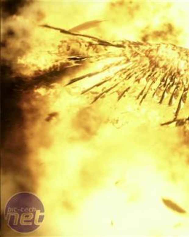 Aphra Behn's Oroonoko: The Royal Slave Analysis and Summary - Owlcation