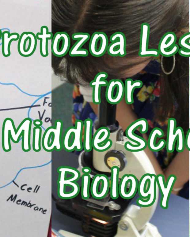 How to Overcome Our Fears - HubPages