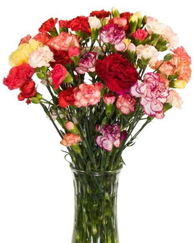 The Vril Society: Maria Orsitsch and the Vrilerinnen - HubPages