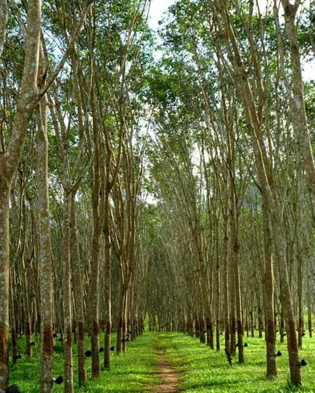 Effects of Greed in the World Today? - HubPages