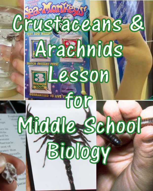 Rum Caramel Sauce - HubPages