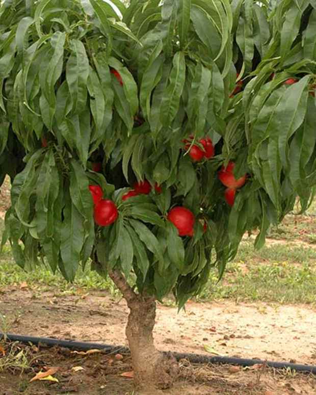 Maximizing Returns: A Comprehensive Guide on Selling Your Old ...