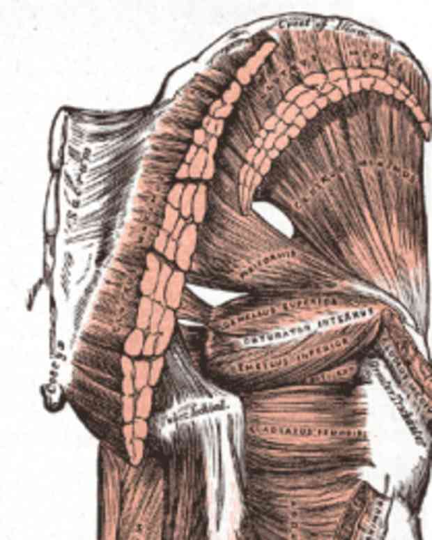 Basic Physics lesson-5 : Gravity - HubPages