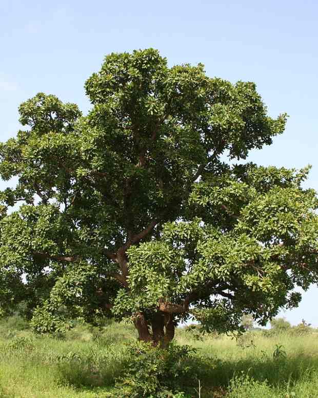 Why Some People Don't Want to Reconnect With Old Friends - HubPages