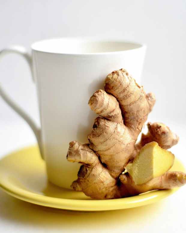 Clan Of The Speedo Bears Big Hairy Bear Men In Tiny Swimsuits Hubpages