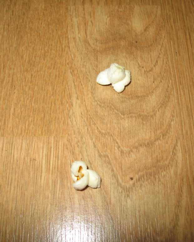 8 Things You Should Know About Food Safety - Delishably