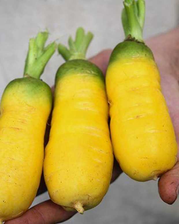 The Concept of 'Third Space' - HubPages