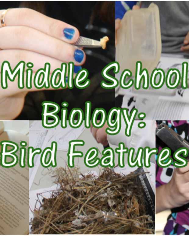 Skyrim High Gate Ruins Puzzle - HubPages