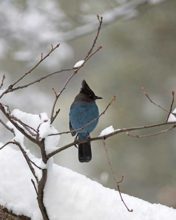 What Is an Adam Mail - * Charge? How to Identify and Handle It - HubPages