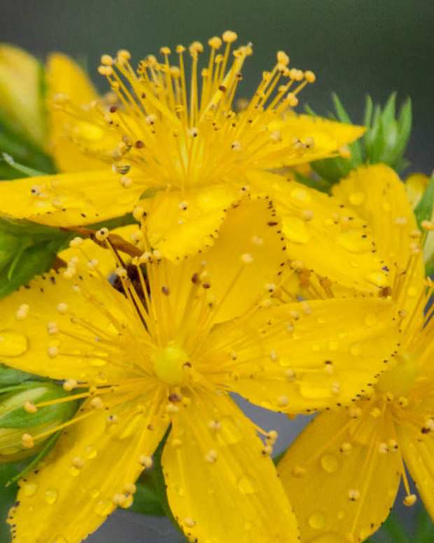 How to Teach the Consonant Digraphs nk and ng - HubPages