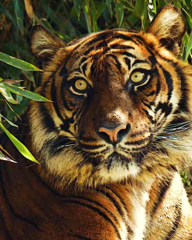 Gun Control - An Australian Perspective - HubPages