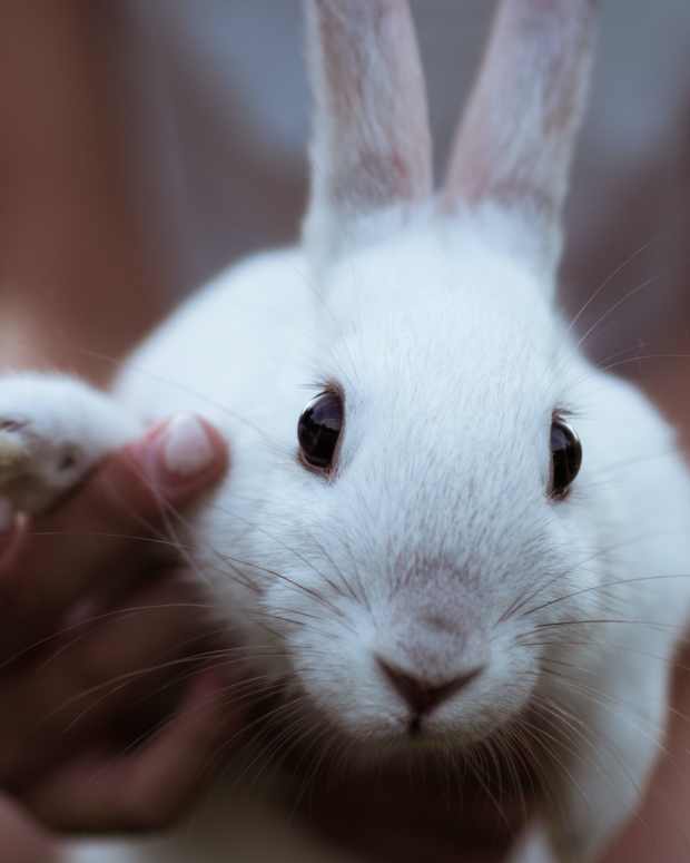 100 Best Songs About History - HubPages