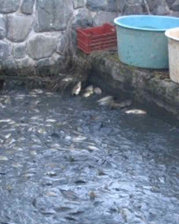 How to Communicate With Pager Codes - HubPages