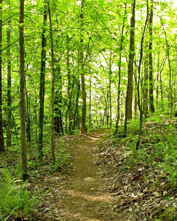 The seeking Spiritual Guidance: A Reflection on Jeremiah 33:3 - LetterPile