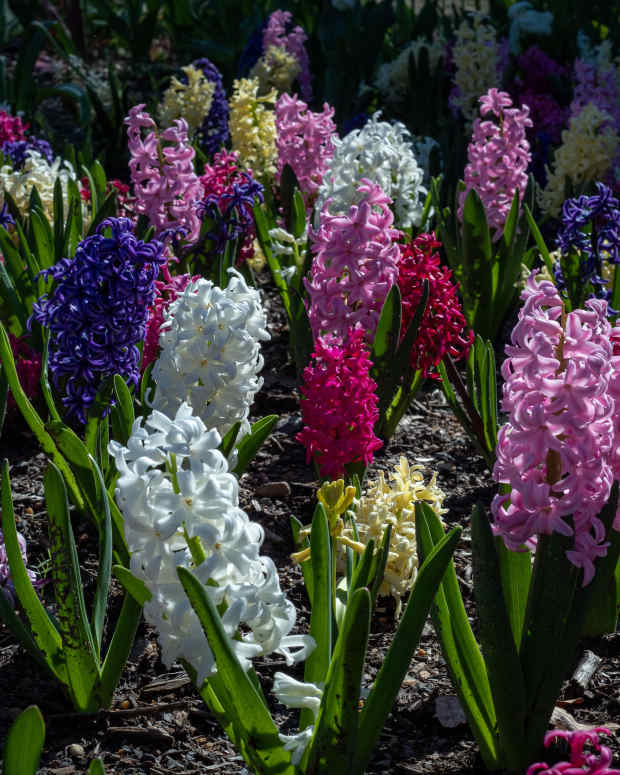 The Chasm: A Poem - HubPages