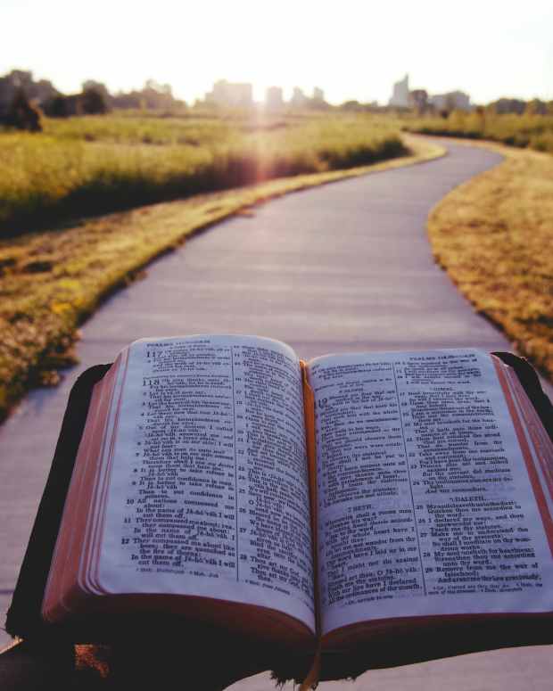 Spicy Pork Chops - HubPages