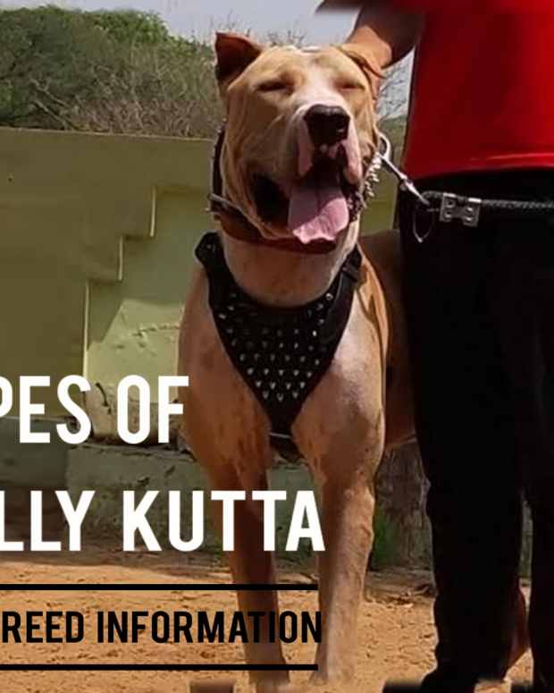 The Mindsets of a High Achiever Revealed - HubPages