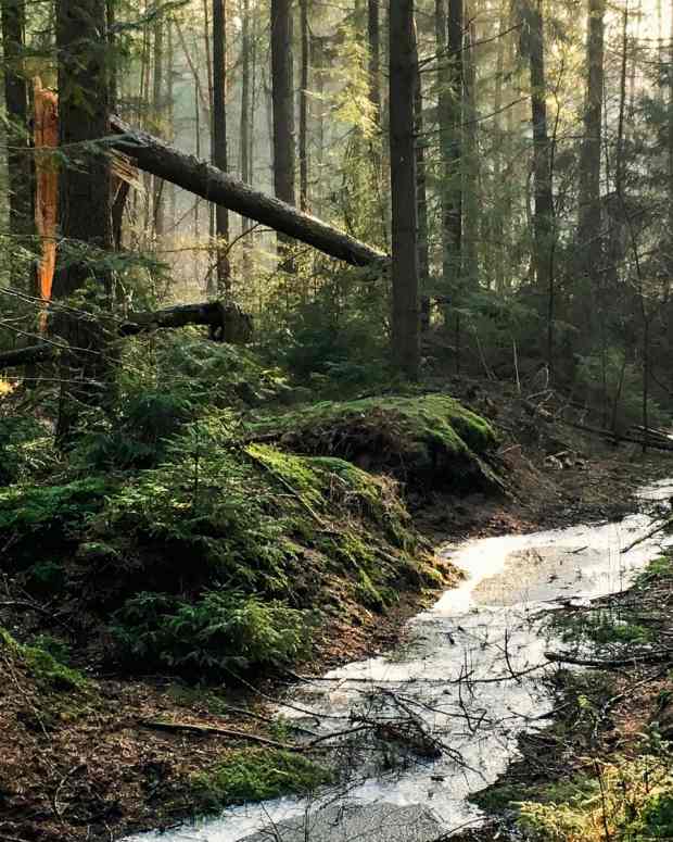 How to Make Gluten-Free Play Dough - WeHaveKids