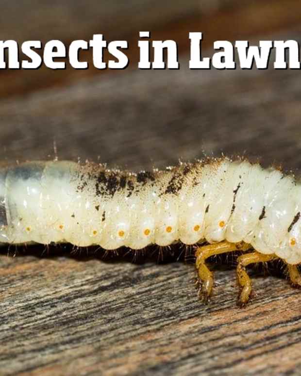 The Role of Information Technology in Agriculture - HubPages