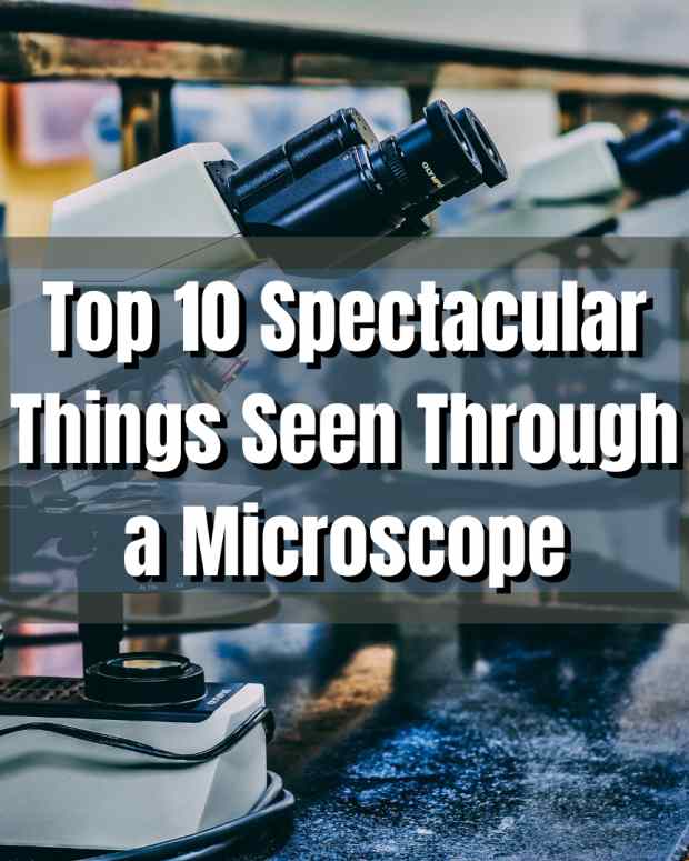 How to Make Home Made Liqueur - HubPages