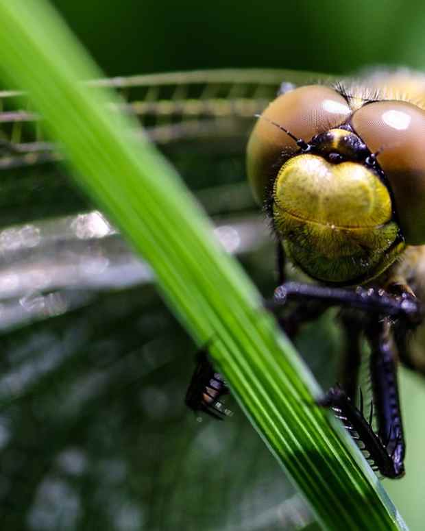 How to Communicate With Pager Codes - HubPages