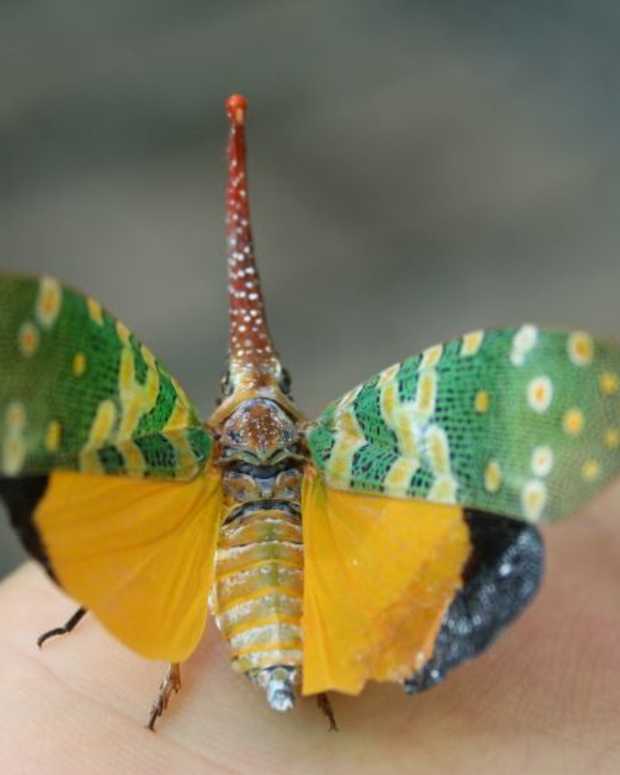 Our Deepest Fear - Inspirational Poem by Marianne Williamson - HubPages