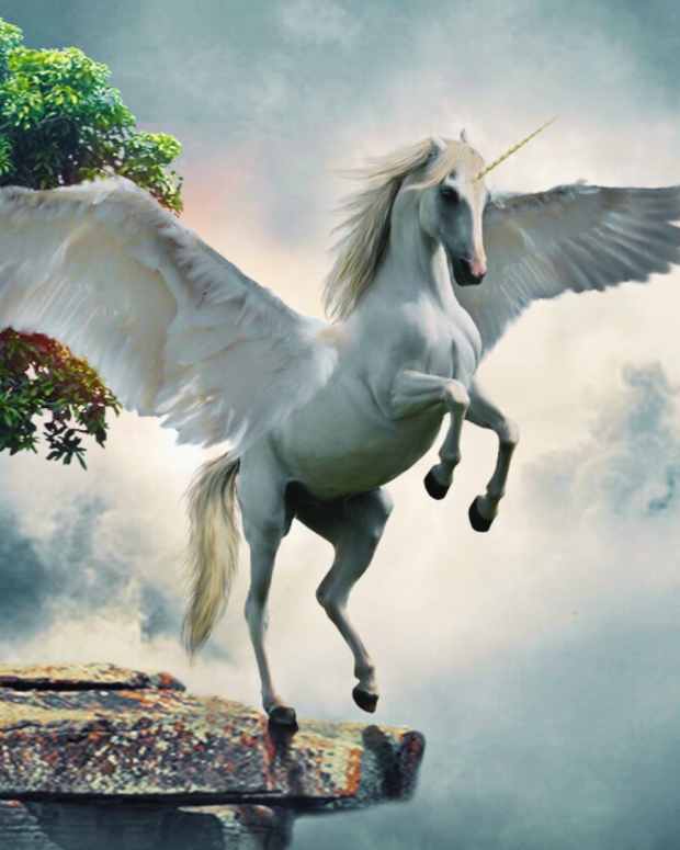 Chunky Monkey Burger - HubPages