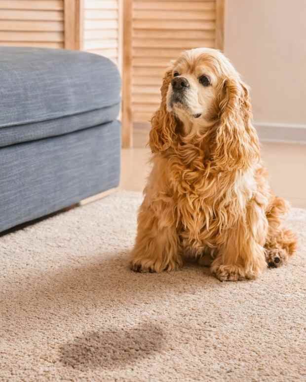 Parenting Challenges and How to Overcome Them - HubPages