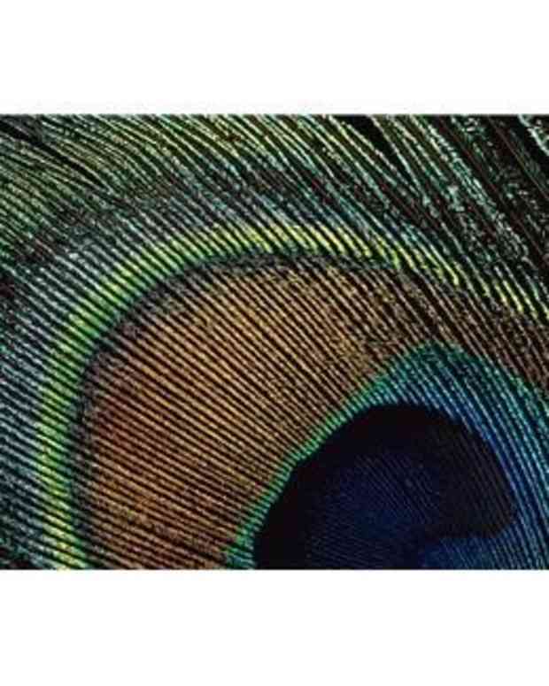 Middle Eastern Folklore Expert Explains How Genies' Lamps Really Work ...