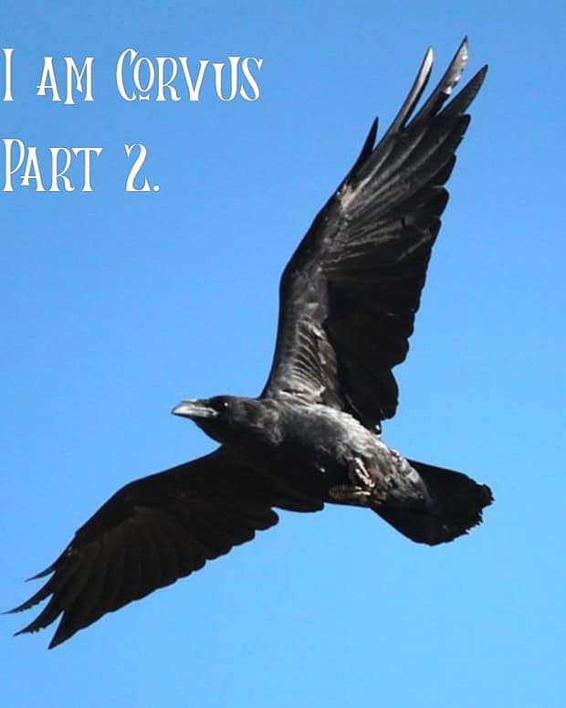 What Does "LMS" in a Text Mean? (Text Examples Included) - HubPages