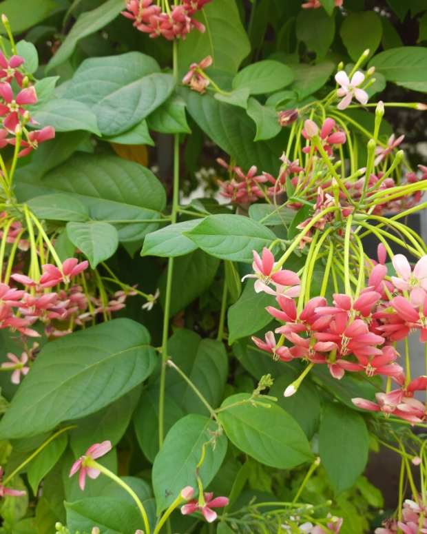 Alan Lee - The Art of Middle-Earth - HubPages