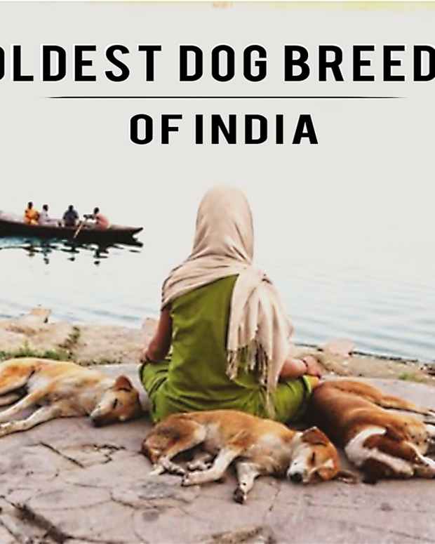 Seasons in the Desert - HubPages