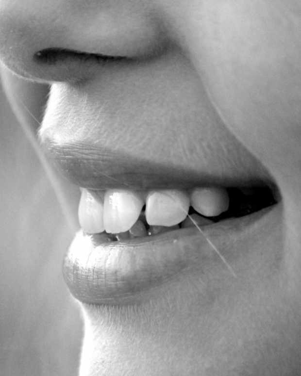 How to Teach Evolution to Kids - HubPages