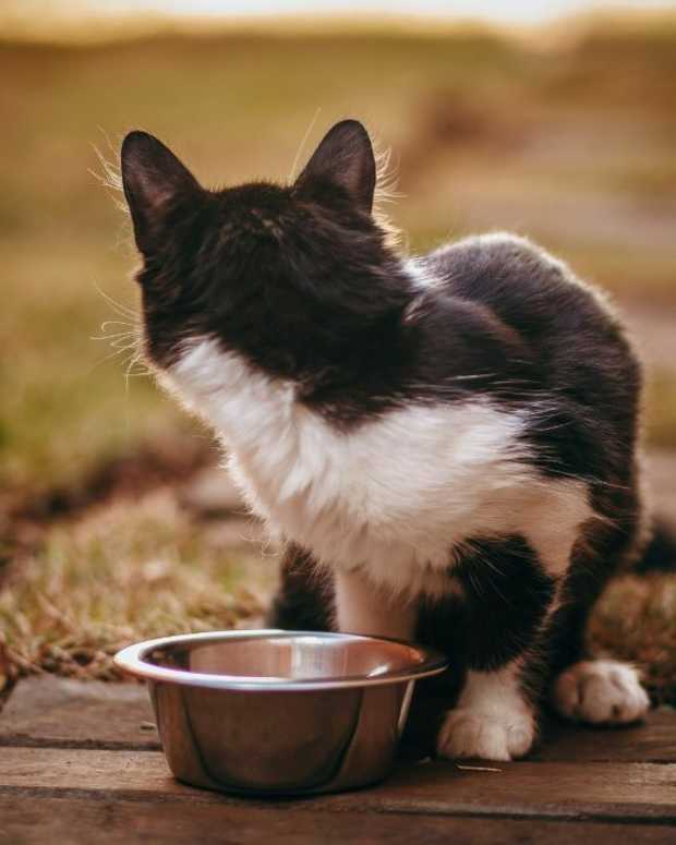 Amiga CD32 Retrospective: A Doomed Console With Good Titles - HubPages